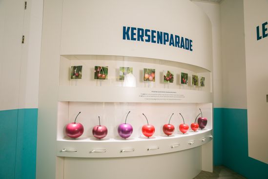 Kersenmuseum Cothen | Visit Utrecht Region