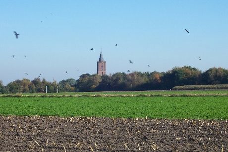 De Soester Engh | Op de Heuvelrug