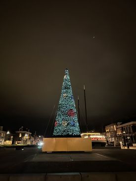 Giant Tree | Dit is Assen