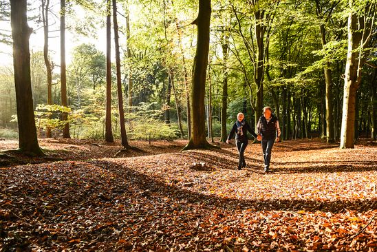 Mountainbikeroute Austerlitz en Zeist | Op de Heuvelrug
