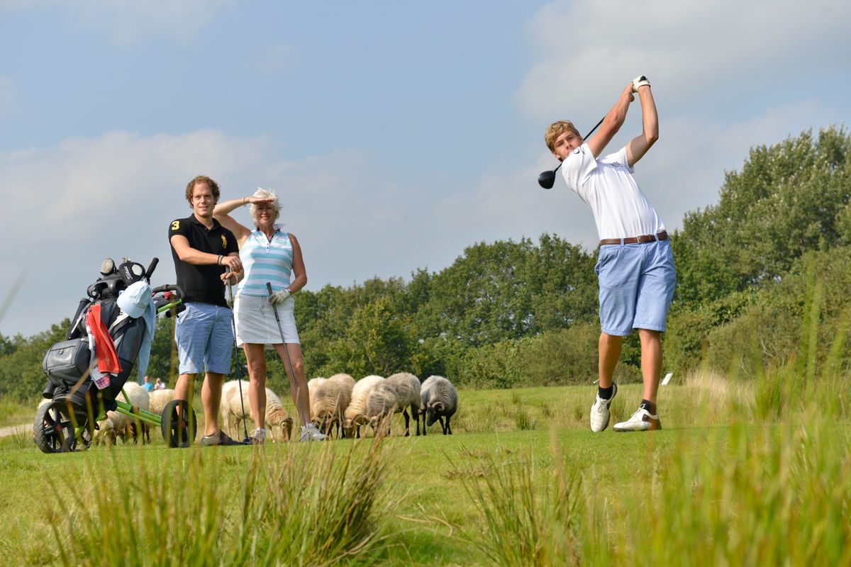 Golfen in Drenthe | Drenthe