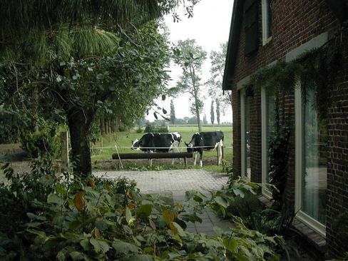 B&B Egeldonk | VVV Zundert