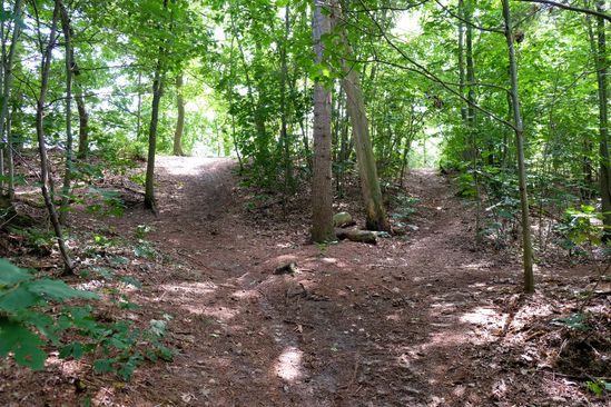 Stuifduinen | Explore Maashorst