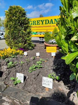 Greydanus Aardappelgroothandel | Friesland.nl