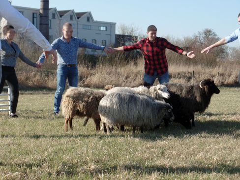 De IJsselstroom | Convention Bureau Veluwe Arnhem Nijmegen