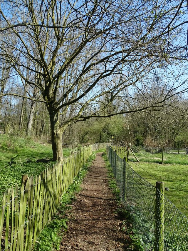 Op pad met de boswachter op Landgoed Mookerheide | In Noord-Limburg