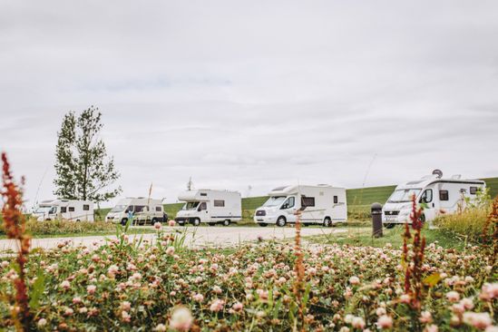 Camperplaats Eemsdijk | Visit Wadden