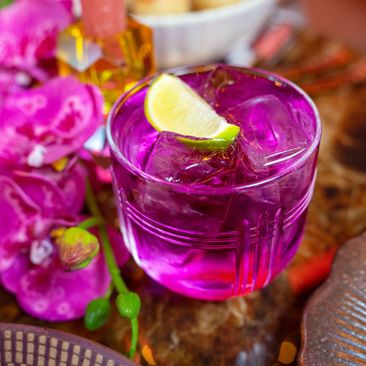 Dolle Diva | Amersfoort | Visit Utrecht Region