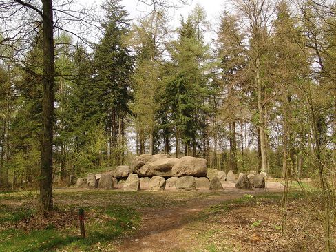 Hunebed D49 | Drenthe