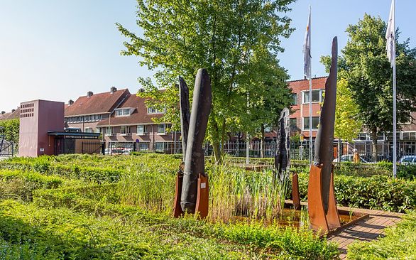 Wuivend riet | Visit Groningen