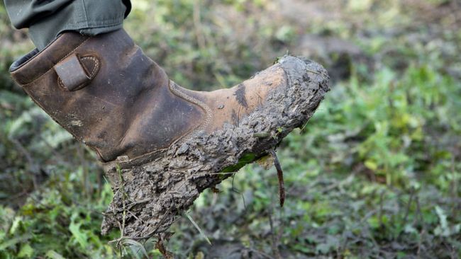 Hiking excursion Boots Path Biesbosch | Biesbosch Line