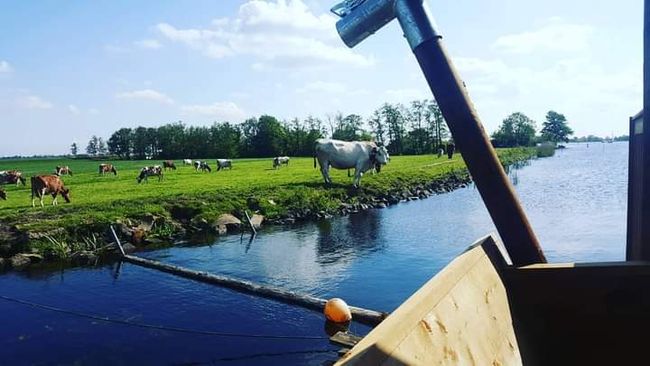 Kaag farm campsite | Visit Duin- & Bollenstreek