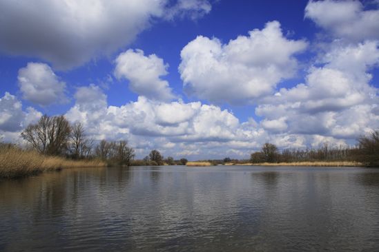 Uiterwaarden Lek | Het Groene Hart
