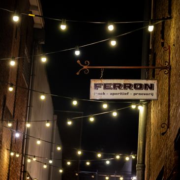 Ferron | Friesland.nl
