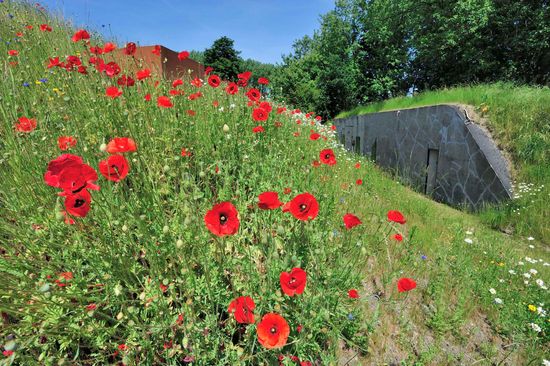 Kortenhoef | Visit Gooi & Vecht