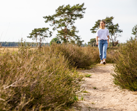TOP Scenic route Walk Kalmthoutse Heide | VisitBrabant