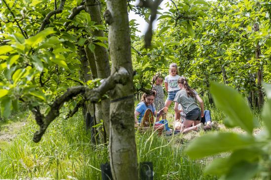 Philips Fruittuin | VisitBrabant