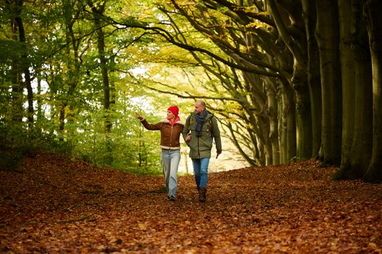 Kroegjesroute: Bos, dorp en Wyldemerk | VVV Friesland Zuidwest