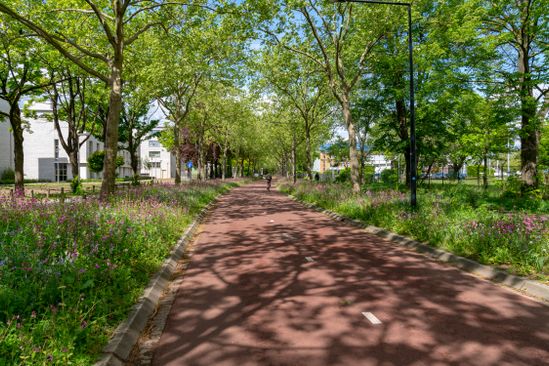 De Groene Corridor | VisitBrabant