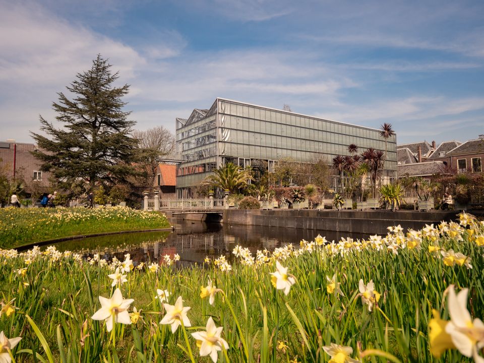 Hortus botanicus Leiden | Visit Leiden