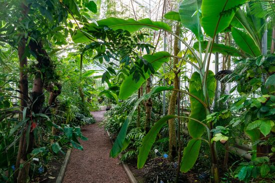 Hortus Botanicus Delft | In Delft