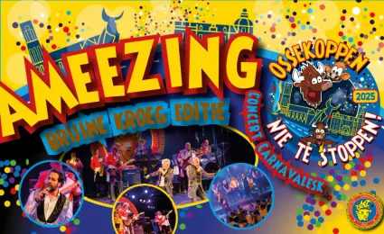 Carnaval in Oss: van Ossekoppenrijk tot Veldhazenrijk | Tref het in Oss