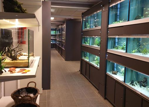 Aquarium Coenen | Gemeente Best