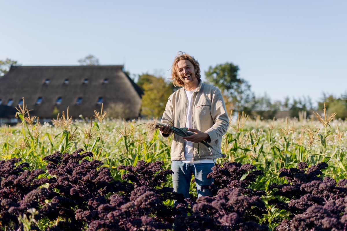 Die Geschichte Frieslands | Alte Wurzeln, stolze Identität | Friesland.nl
