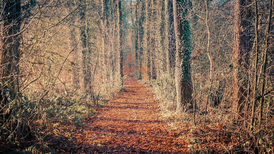 Exkursion | Runde 'Rott', Winterswijk | 100 % Winterswijk | Winterswijk