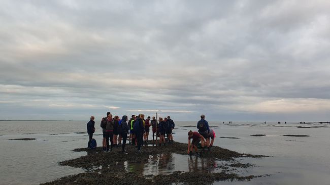 Wadlopen in Groningen | Visit Wadden