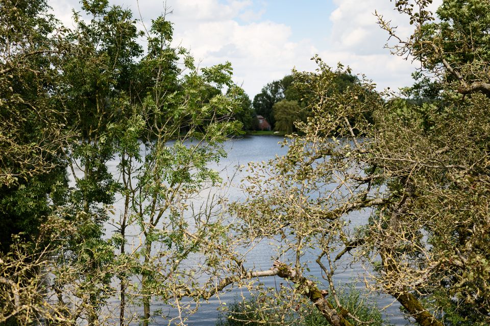 Veelgestelde vragen | Tussen Lek & Linge