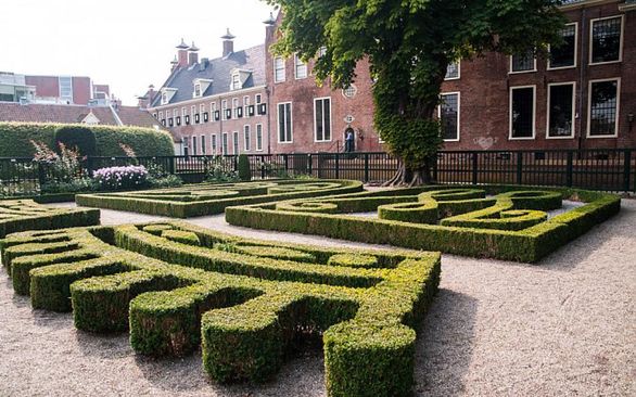 Prinsentuin | Groningen | Honeyguide