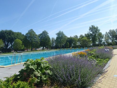 Swimming pool the Waterdam | Laag Holland