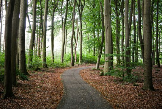 Slingerpad | Explore Maashorst