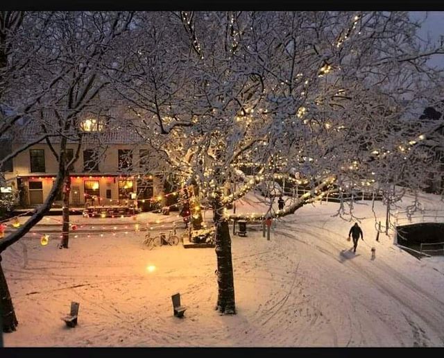 Dit is er te doen tijdens Delft Verlicht 2024 | In Delft