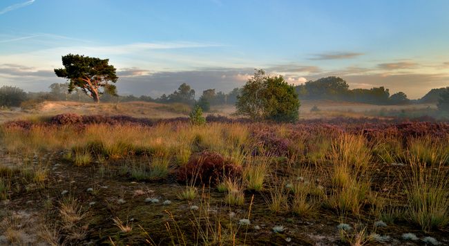 Natuurpoort van Loon | VisitBrabant