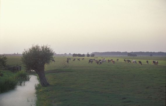 Noorderpark | RoutesinUtrecht