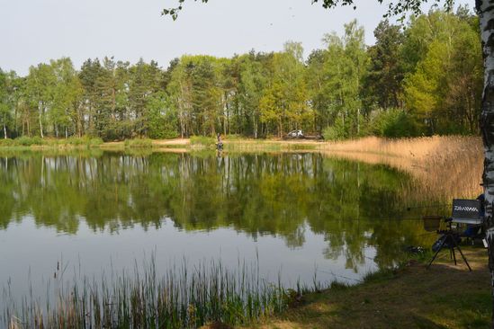 Fietsroute Bladel-België en terug | Visit Bladel