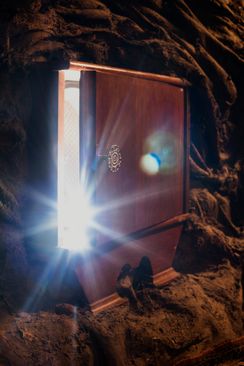 Doloris Meta Maze | VisitBrabant