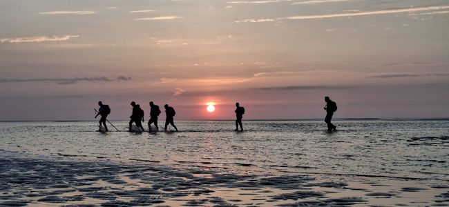 wadlopen | Visit Wadden