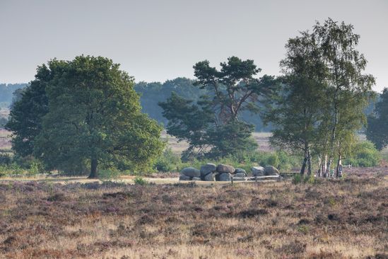 Hunebed D53 en D54 | Drenthe