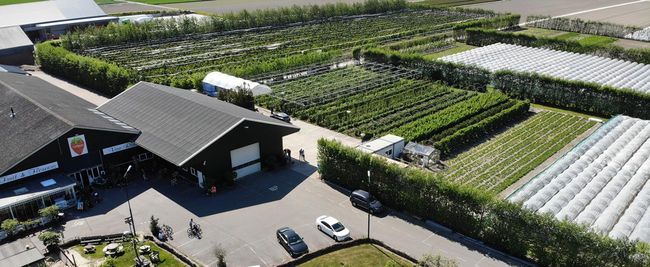 Van Reeuwijk Fruit & Flowers | Abbenes | Honeyguide