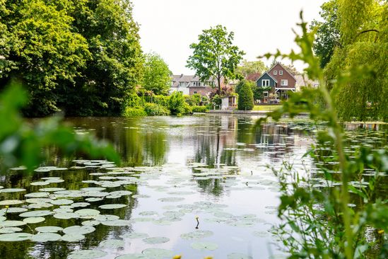 Ravenstein | VisitBrabant