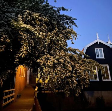 Het Wapen van Munster | De Rijp | Honeyguide