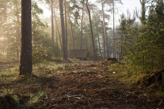 Siegurd | Op de Heuvelrug
