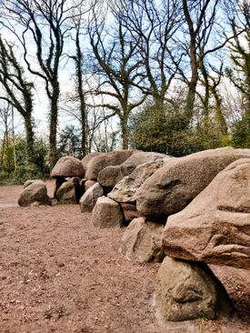 Hunebed Highway | Drenthe | Honeyguide