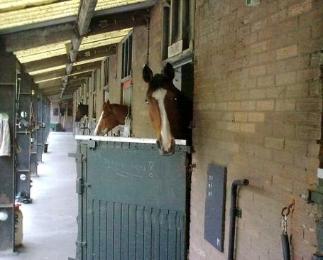 Manege MRC Marcroix | Tijd voor Amersfoort