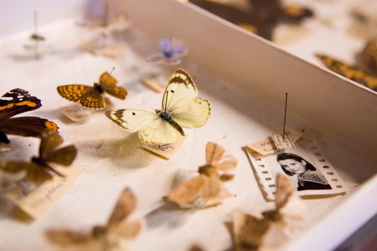 Trudy Beekman natuur & kunst | Visit Groningen