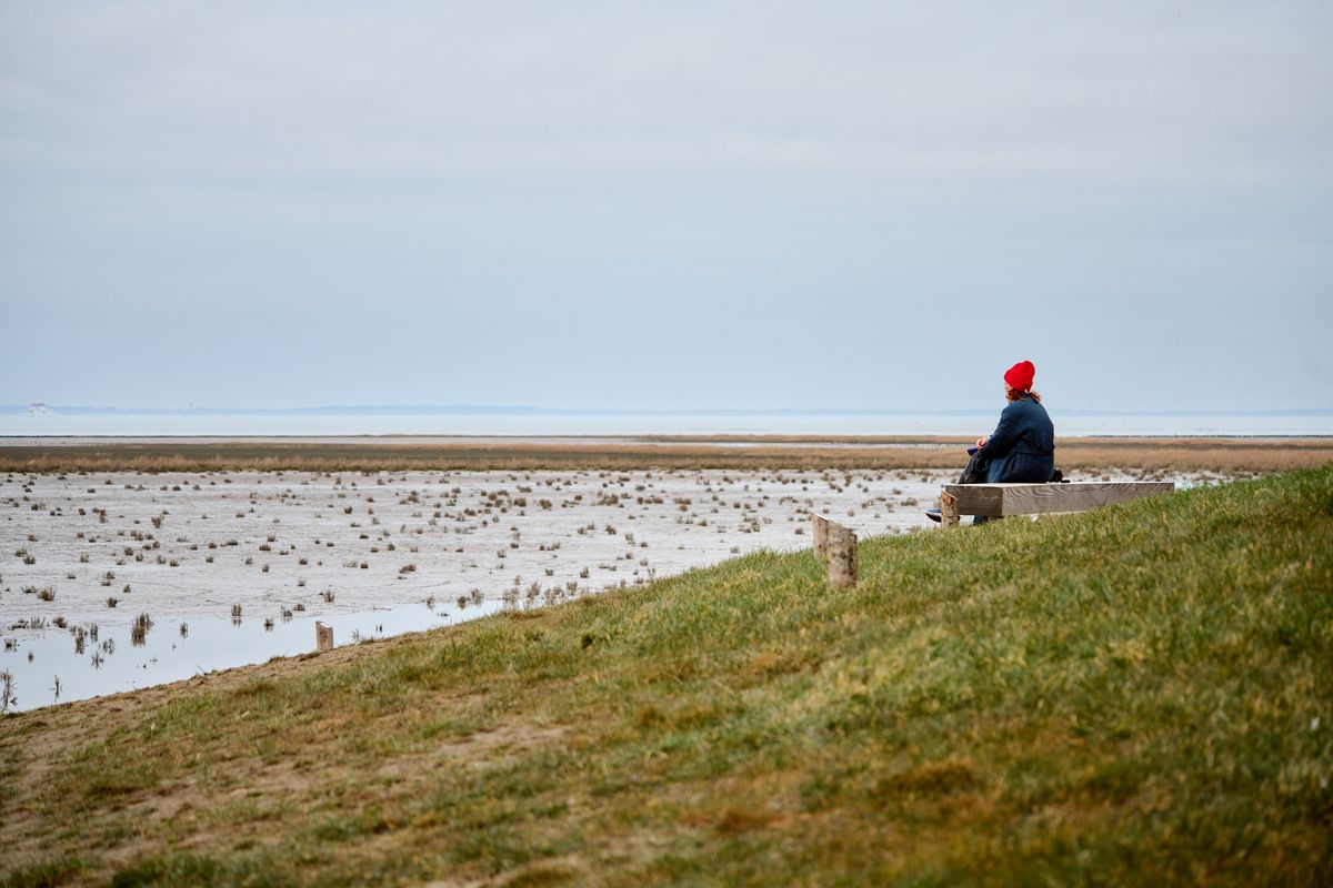 Discover the Wadden coast | Visit Wadden