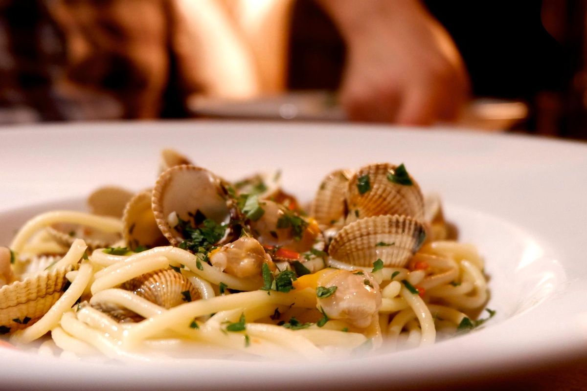 6x De lekkerste pasta's in Nijmegen | Into Nijmegen